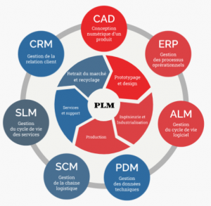 PLM - Cesam Seed